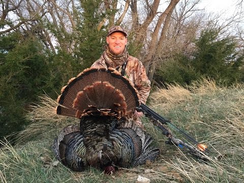 TURKEY HEAD SHOT With Magnus Bull Head. Travis Glassman 2017 Kansas ...