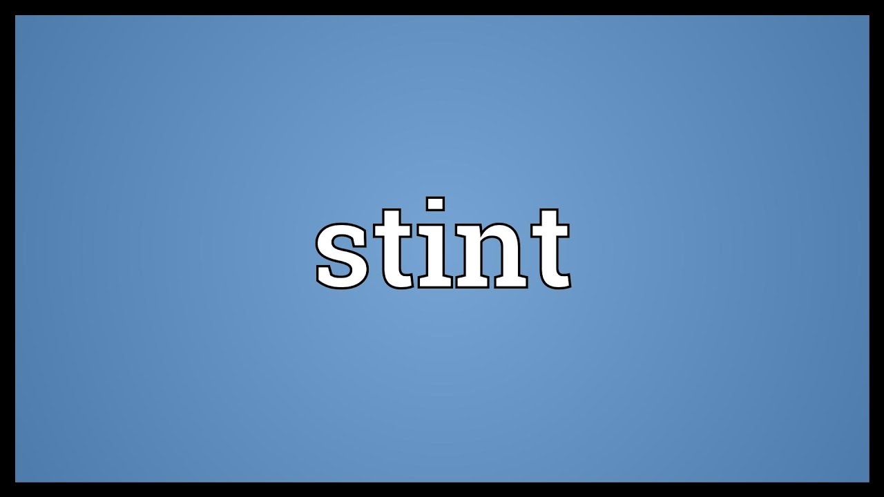 Stint Meaning YouTube stint-meaning-youtube