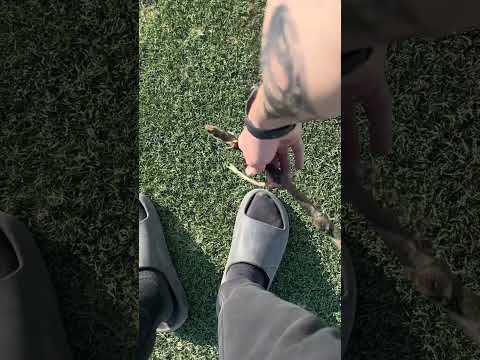 Sam training - YouTube