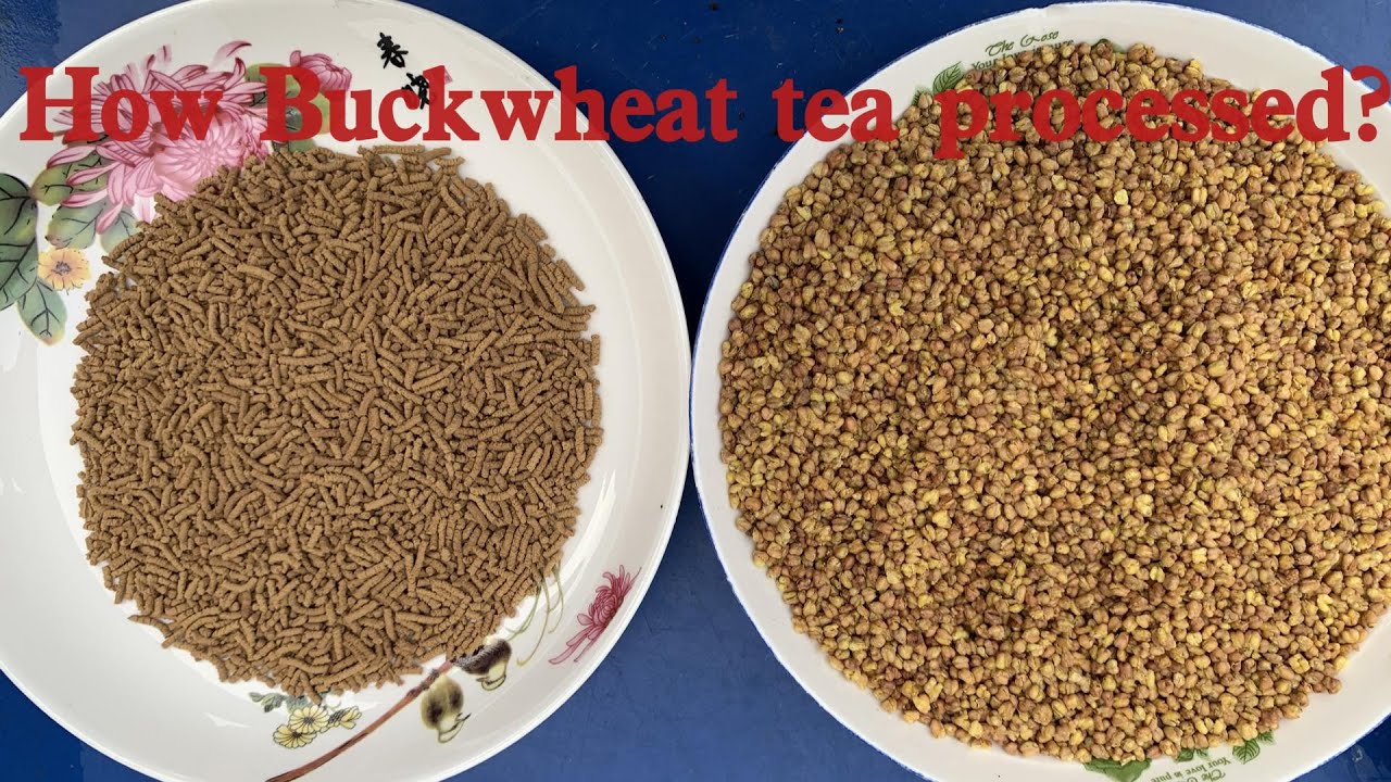 How Buckwheat tea processed? - YouTube