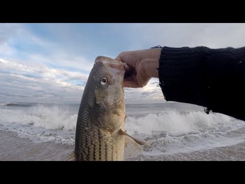 Fishing in DAYLIGHT FINALLY!!! Striped Bass, Bluefish, Shad, Skate ...