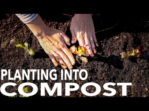 Can I Dig A Hole For Compost