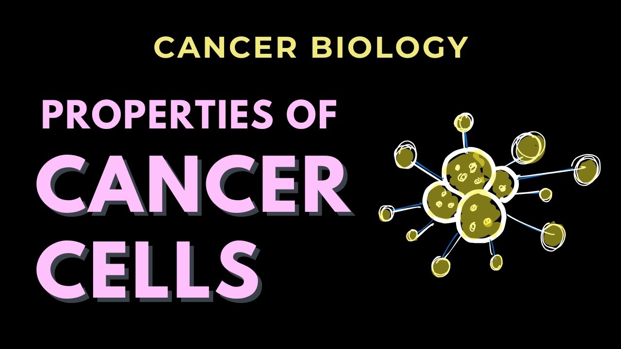 Properties of cancer cells | Cancer Biology - YouTube