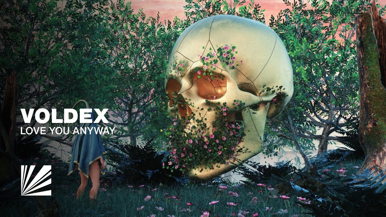 Voldex - Love You Anyway [Diversity Release] - YouTube