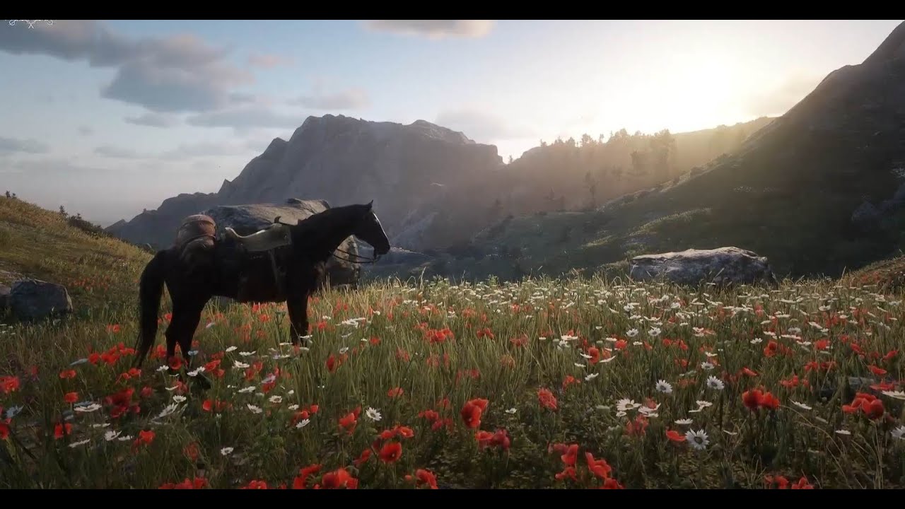 Episodio 10-- el plan--RED DEAD REDEMPTION 2 MORAL WEST RP - YouTube