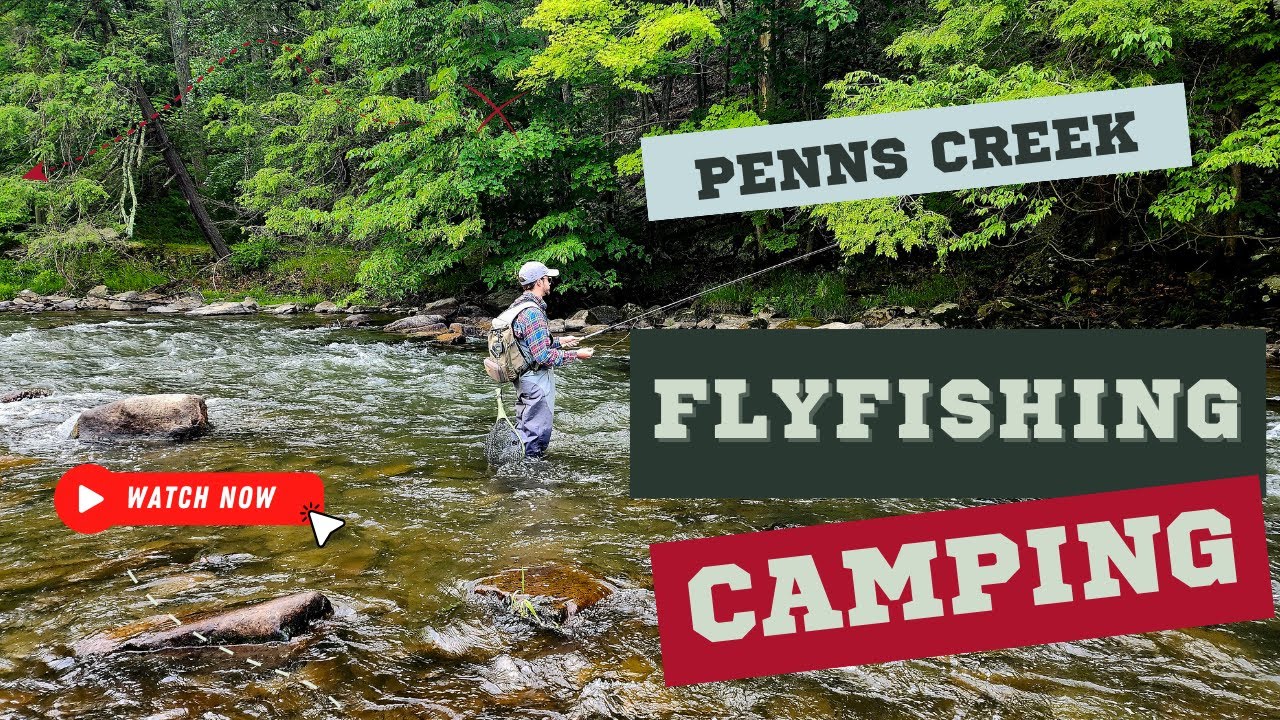 Penns Creek | A Pennsylvania Portrait of Wild Browns| Camping & Fly ...