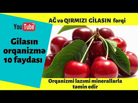 Gilasın orqanizmə 10 faydası - Ağ və qırmızının fərqi
