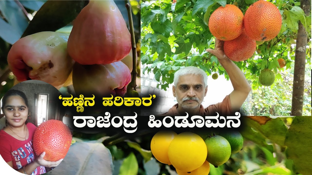 This Farmer Grows More Than 1200 Exotic Fruits In A Single Farm ...