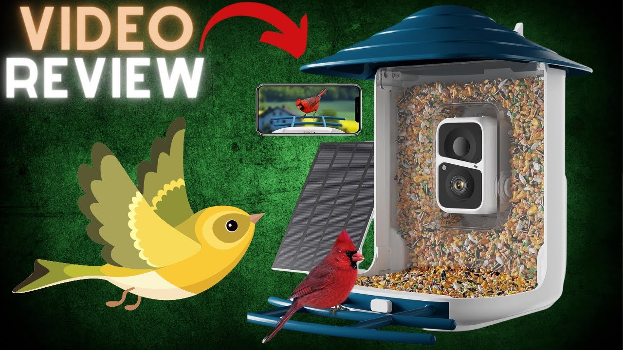 Dzees Smart Bird Feeder with Camera - YouTube