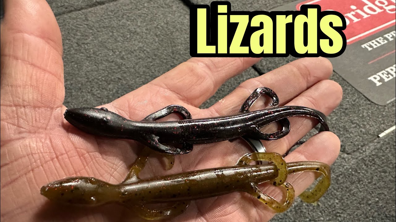 Conditions A Lizard Will Outfish All Other Soft Plastic Lures.. - YouTube
