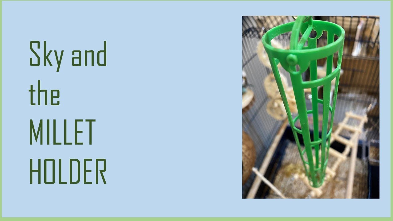 Sky and the millet holder meme - YouTube