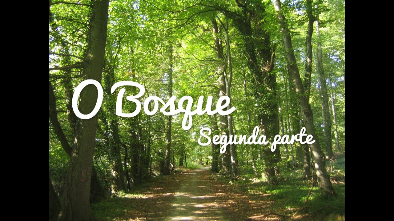 O Bosque - 2º parte (Trailer/Teaser) - YouTube