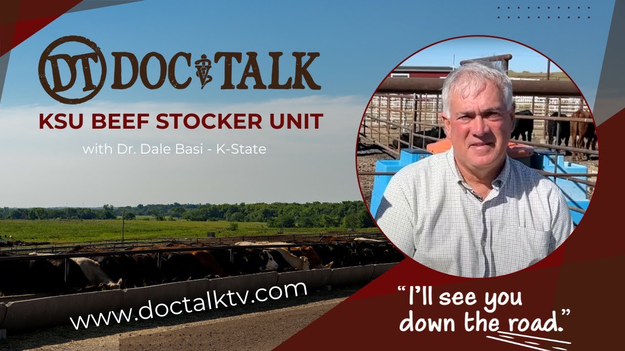 DocTalk Ep 599 - KSU Beef Stocker Unit with Dale Blasi - YouTube