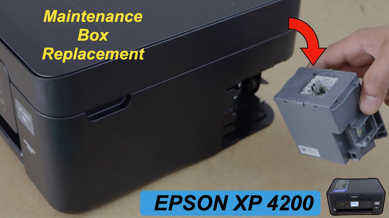 Epson XP 4200 Maintenance box Replacement ! - YouTube