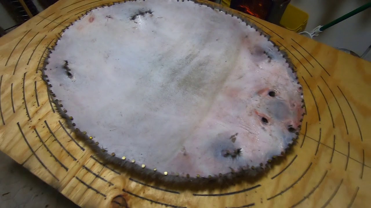 putting up fur - YouTube