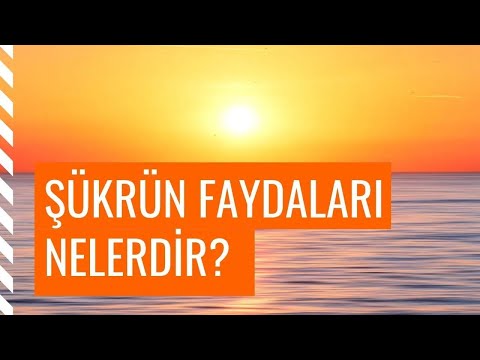 Şükrün Faydaları Nelerdir?