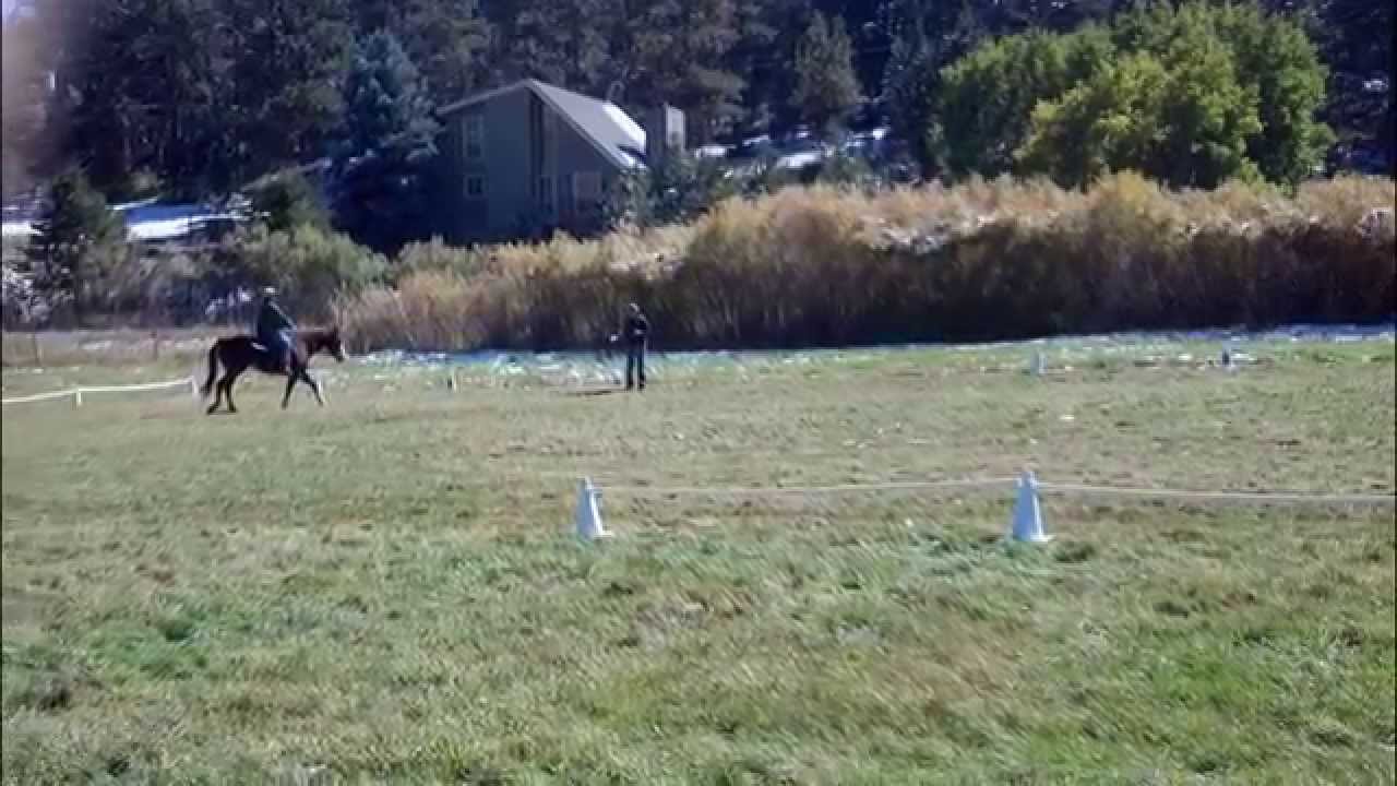 Colorado Corral Ranch Race & Western Dressage Clinic October 5 2013 ...