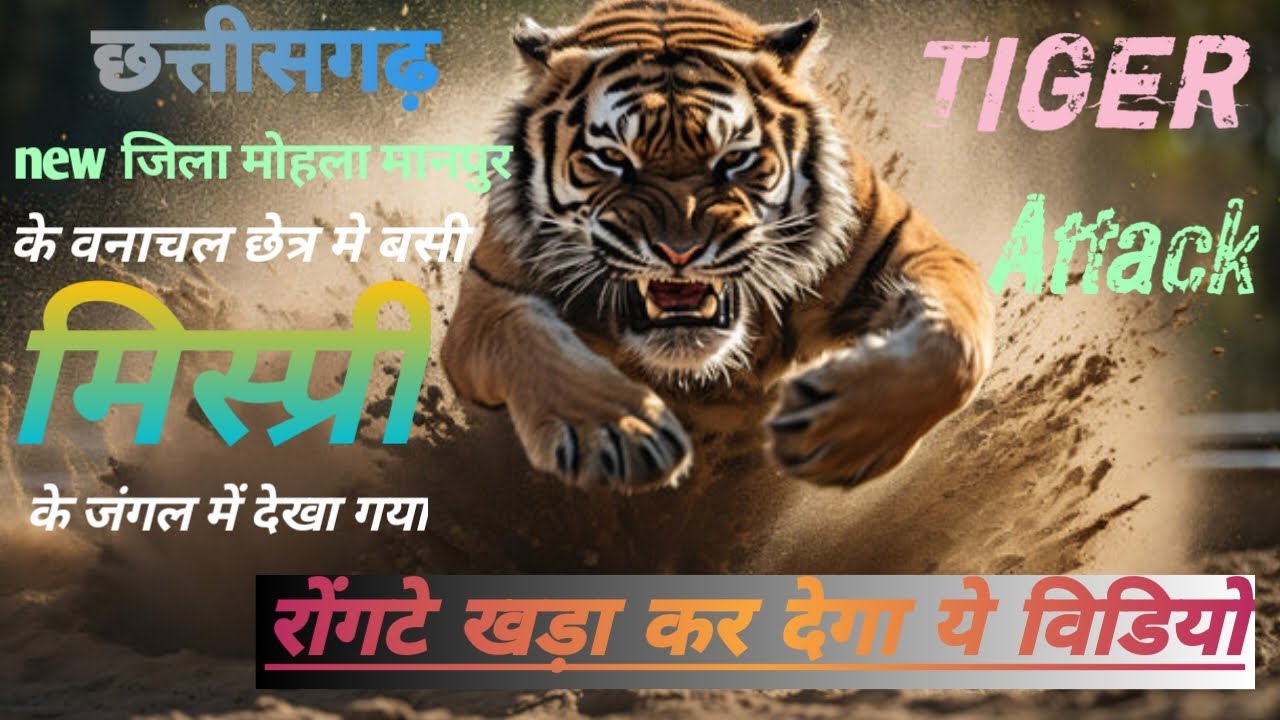 🙏 Safari rahasya|| animal attack|| animal attack movie || animal attack ...