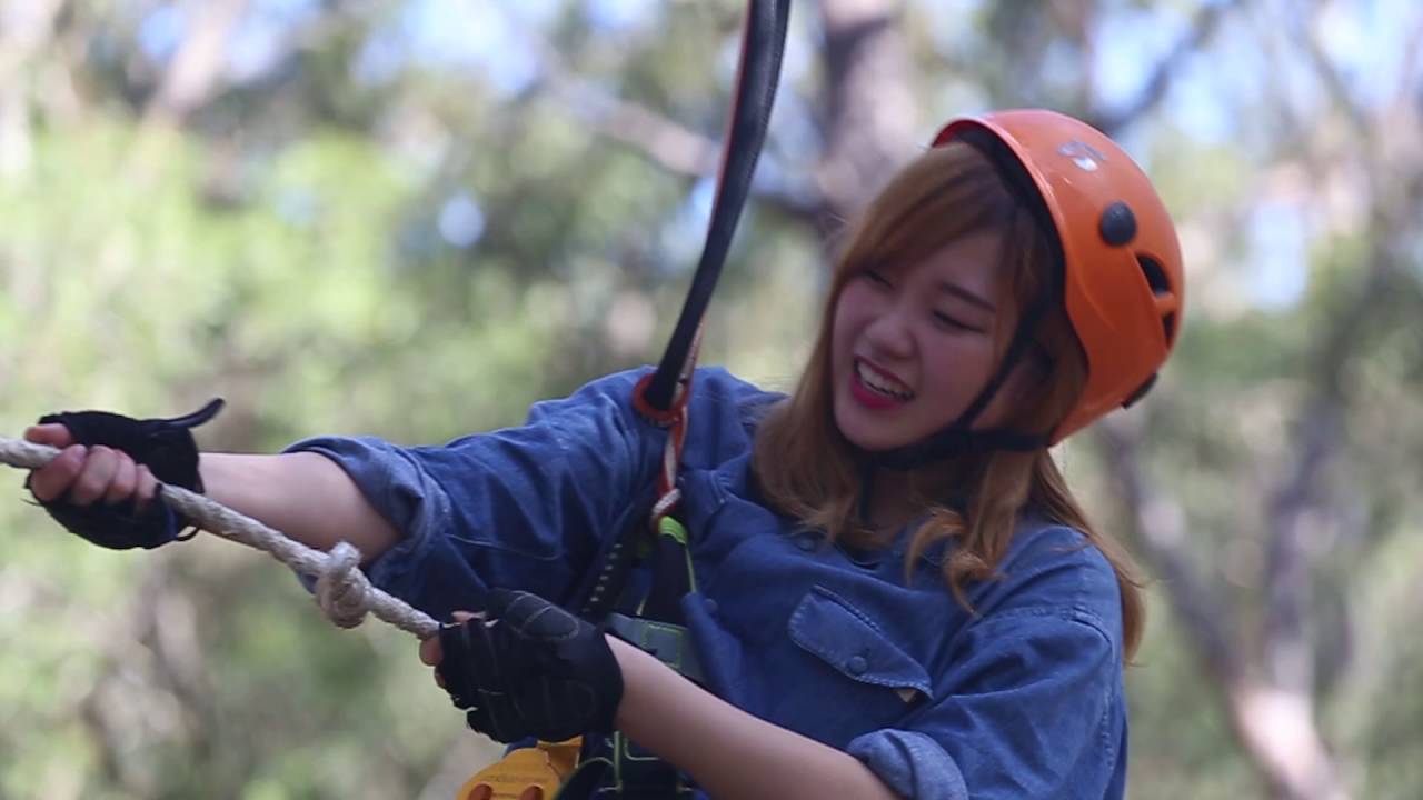 Thunderbird Park TreeTop Challenge - YouTube