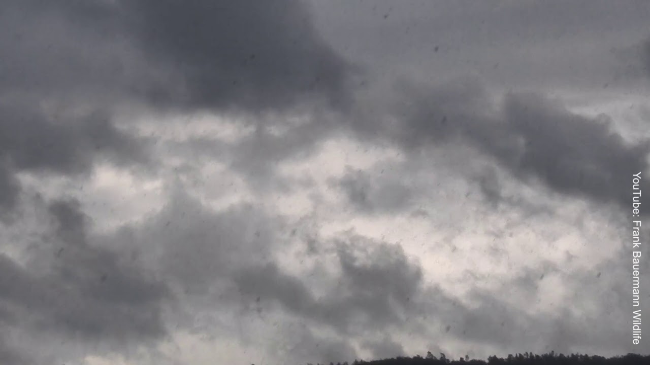 Es hagelt Hagel aus dem wolkenverhangenen Himmel... [ASMR,] Wasser ...
