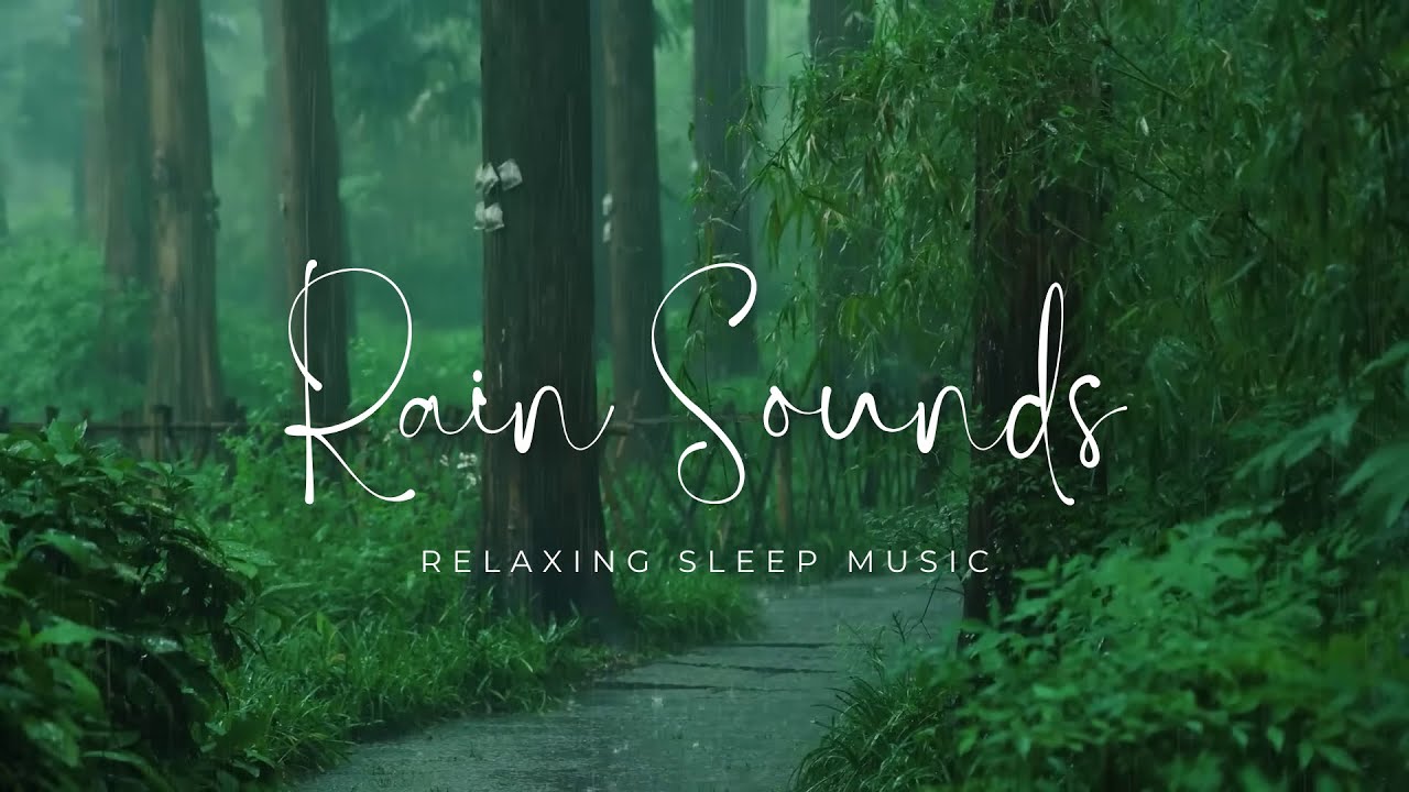 Forest Rain Sounds & Relaxing Nature Video (HD) - YouTube