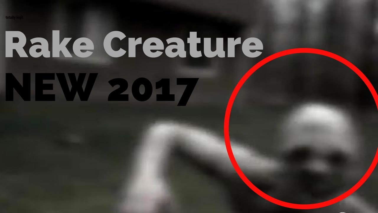 NEW RAKE SIGHTINGS 2017 - YouTube