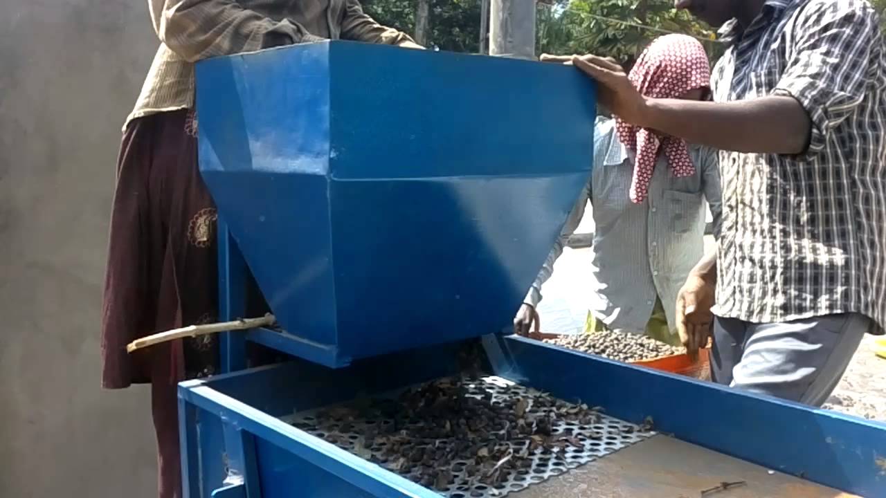coffee dust twig remover n cleaner at farm level - YouTube