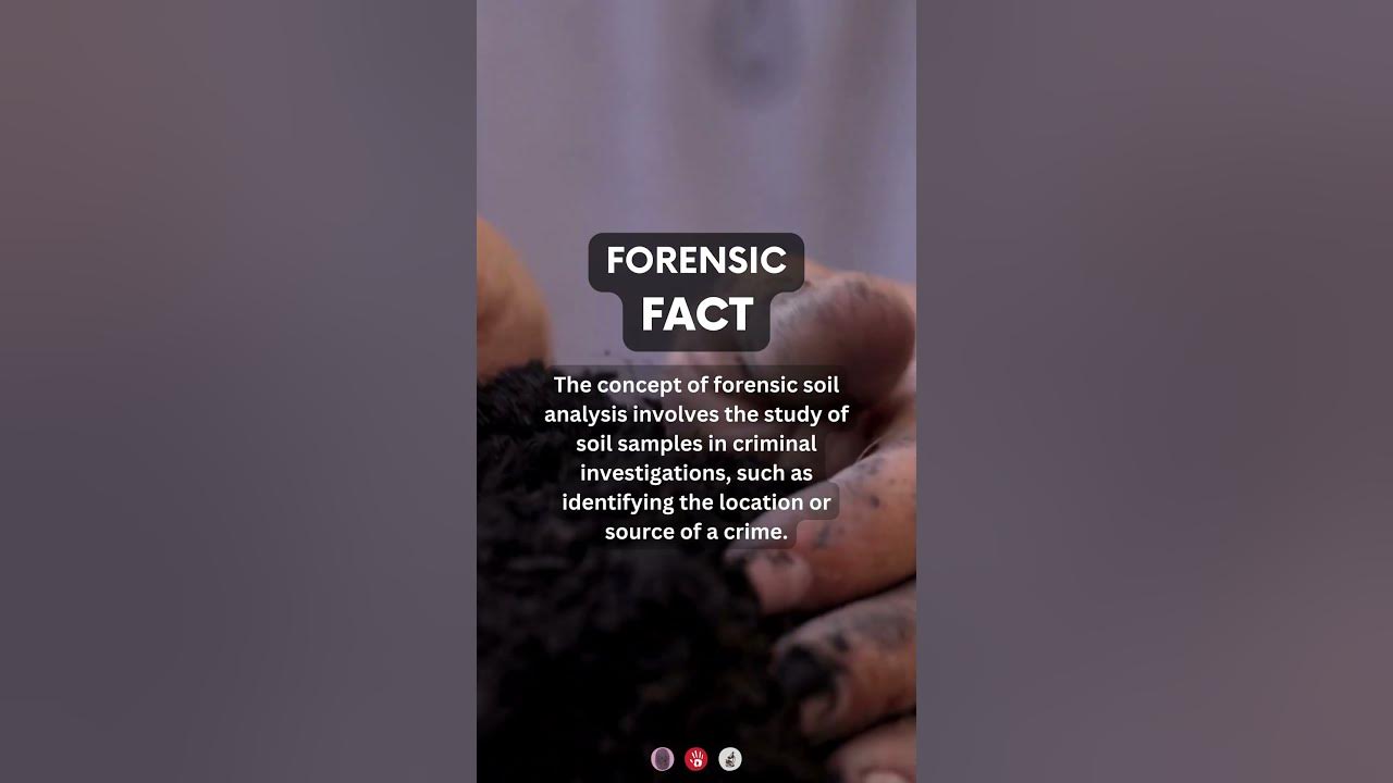 Forensic Soil Analysis forensicscience forensics YouTube forensic-soil-analysis-forensicscience-forensics-youtube