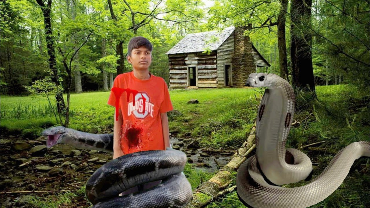 Big Anaconda Snake Attack in Real Life HD Video Part 10 || snake video ...