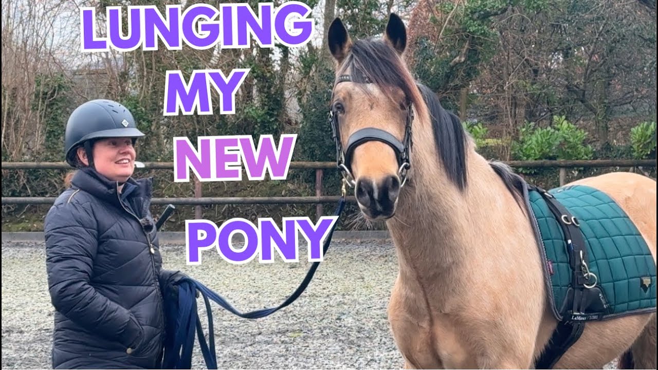 First Day of School For New Pony Buck - YouTube
