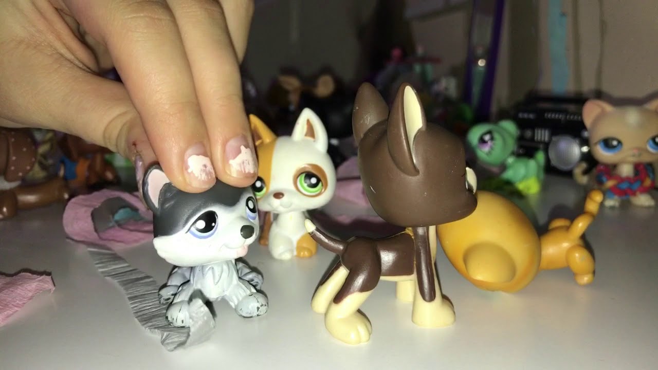 Lps college!!! Episode 4: " the party" lps Zoe ft. LPSMollyTV - YouTube