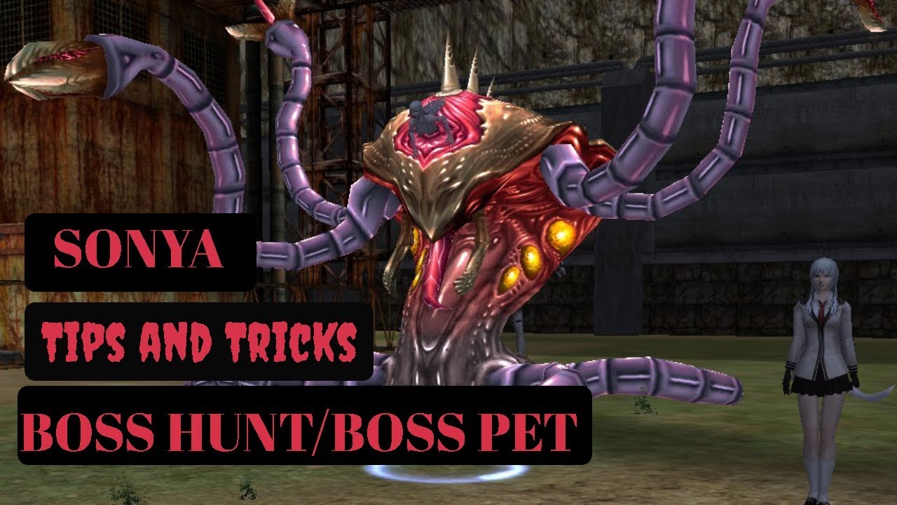 Ran Online GS SONYA(Boss Hunt/Boss Pet)HAVOC Fela-GG #86 - YouTube