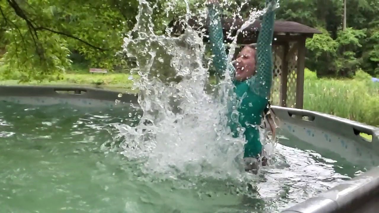 Mermaid Bug Waits for New Cousin of the Sea - YouTube