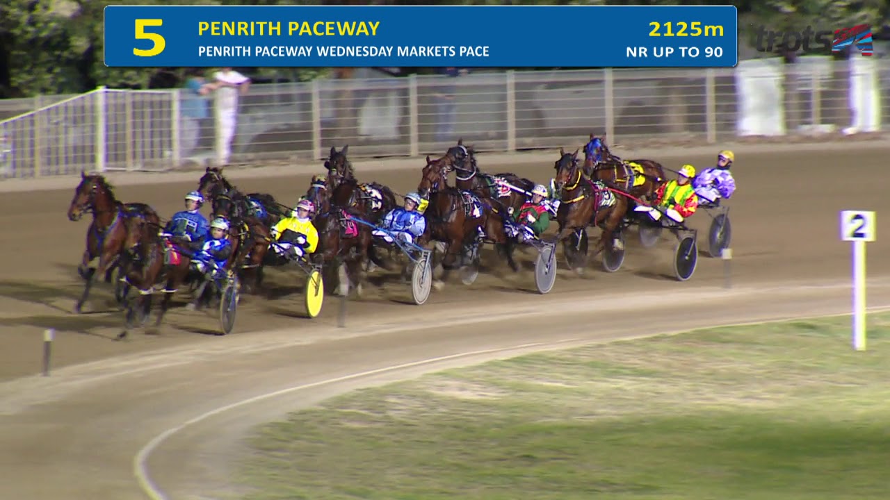 PENRITH - 05/09/2019 - Race 5 - PENRITH PACEWAY WEDNESDAY MARKETS PACE ...
