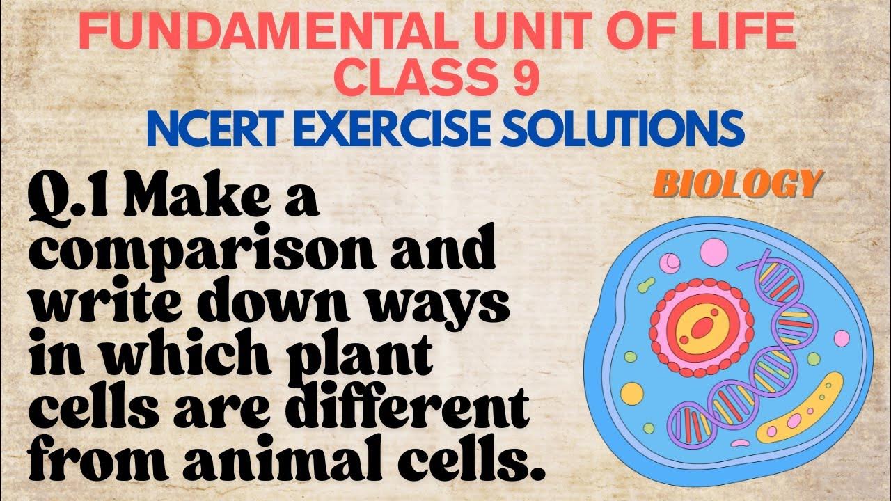 Make a comparison and write down ways in which plant cells are ...