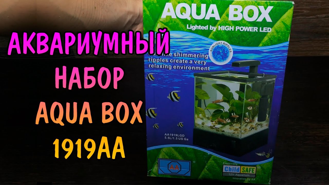 АКВАРИУМНЫЙ КОМПЛЕКС НЕ БЕЗ ПРОБЛЕМ. AQUA BOX 1919АА - YouTube