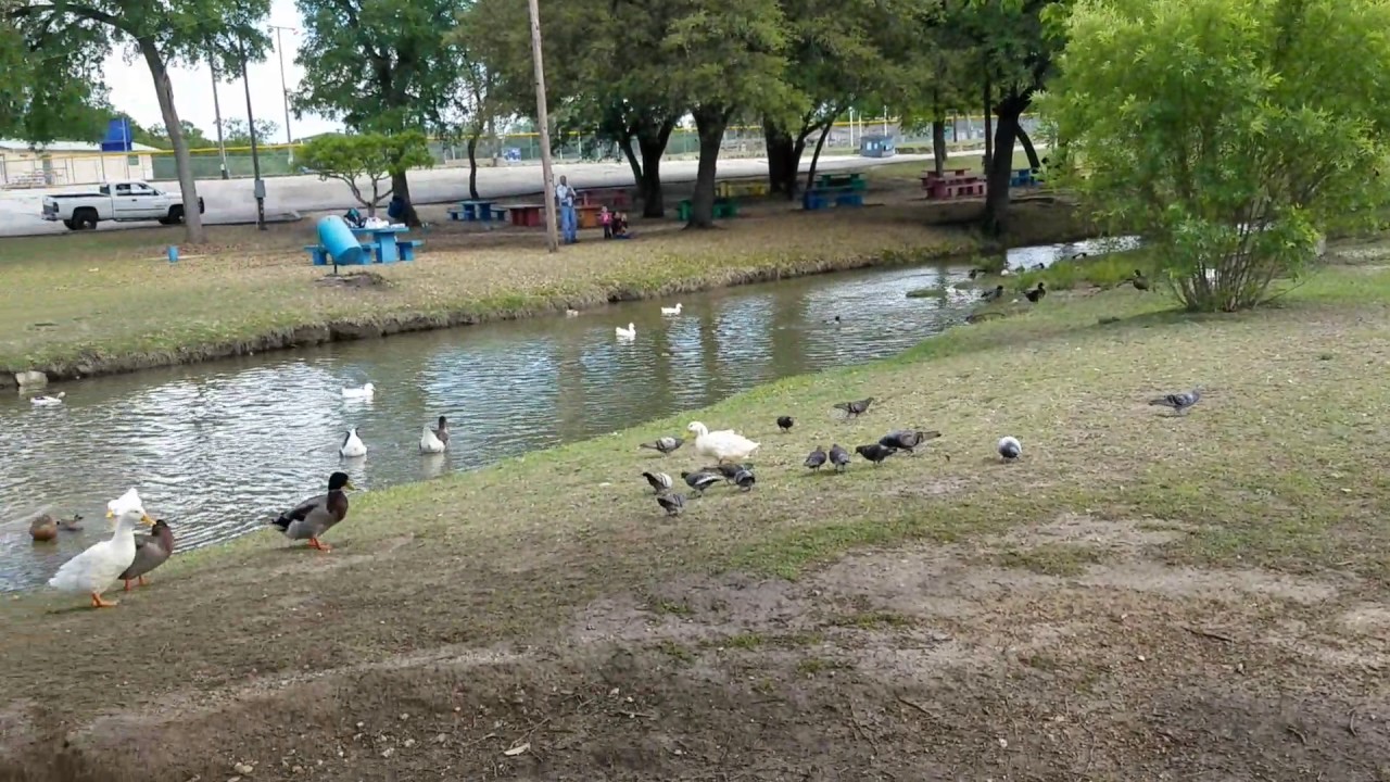 Copperas Cove TX - YouTube