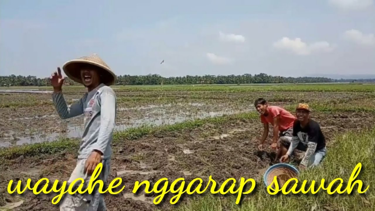 film pendek // vidio lucu // comedi ngapak // Blarak Garing // wayahe ...