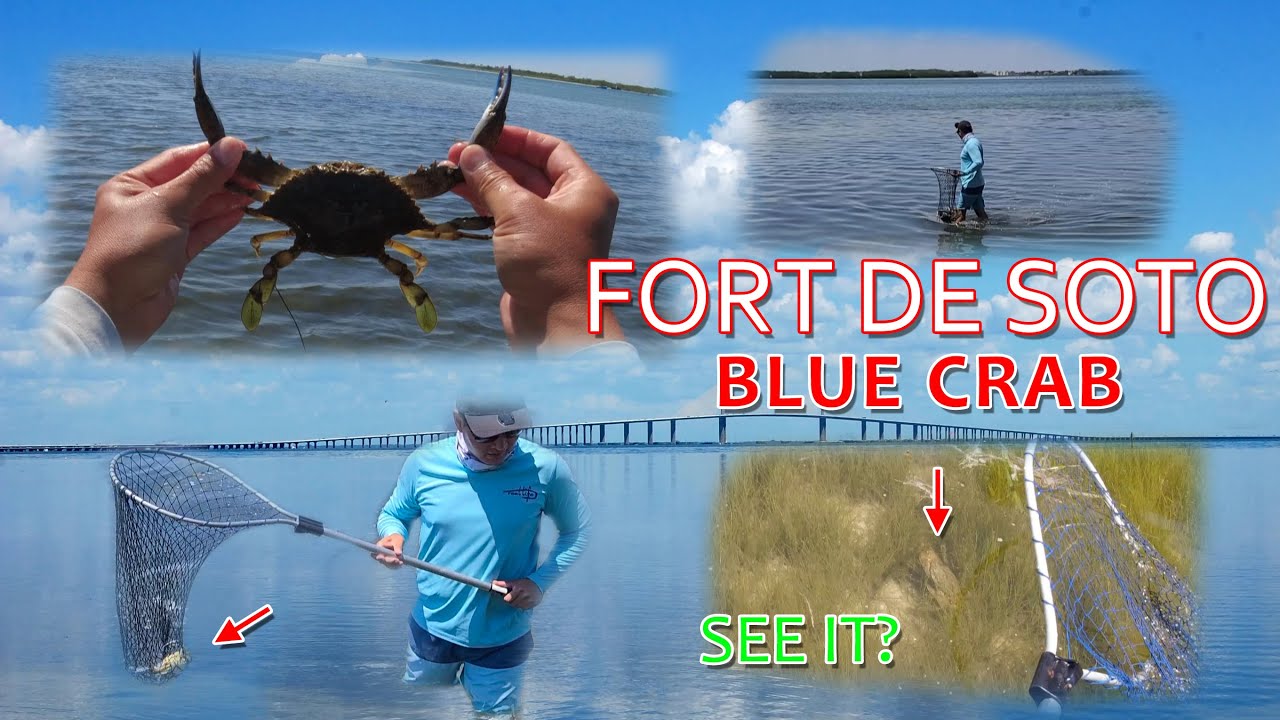 Fort De Soto Park | Fishing & Wade Crabbing | South Florida Saltwater ...