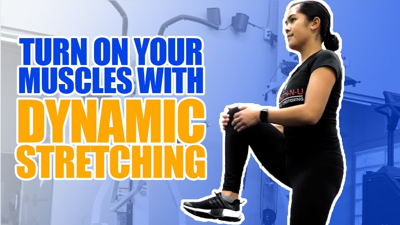 Dynamic Leg Stretches - YouTube