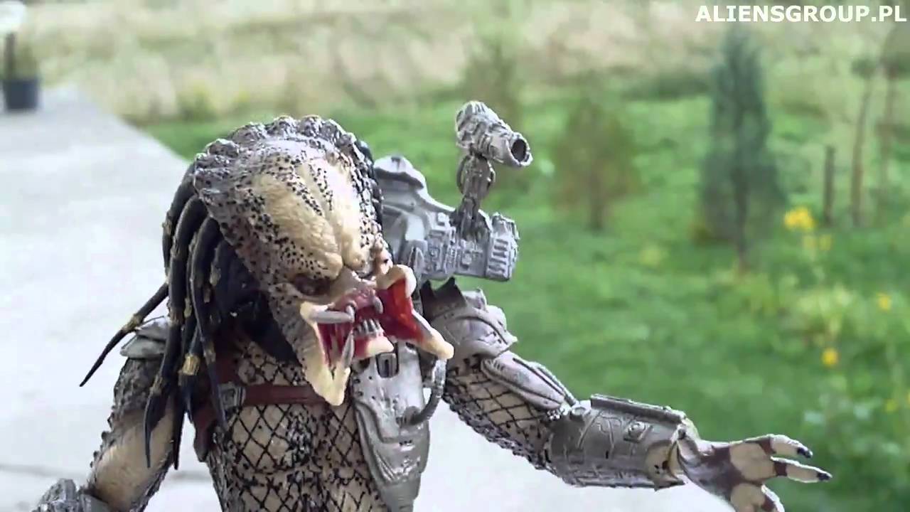 PREDATORS SERIES I PREDATOR CLASSIC - YouTube