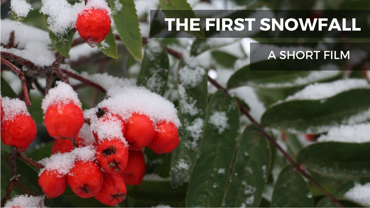 The First Snowfall :: A Short Film - YouTube