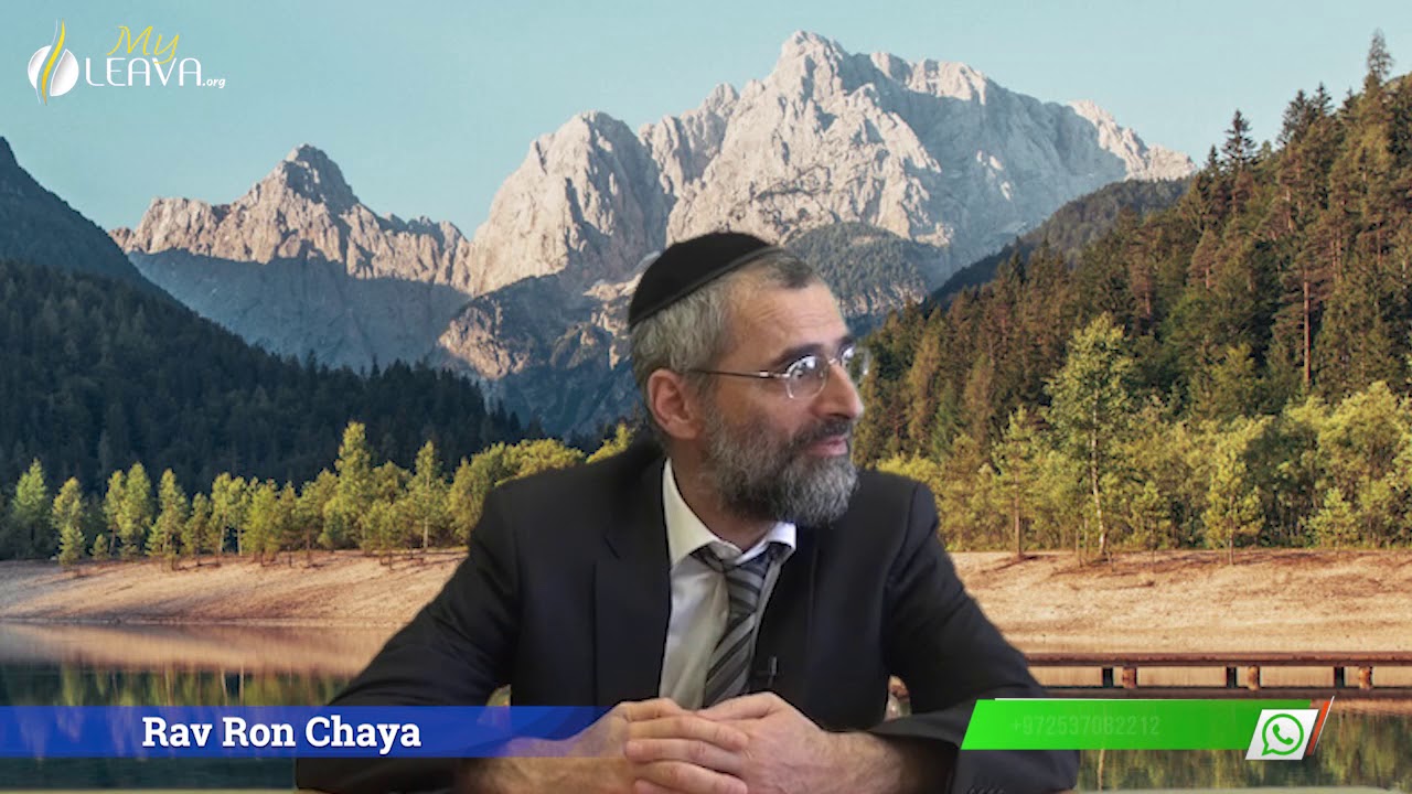 TU NE TE VENGERAS POINT - RAV RON CHAYA - YouTube