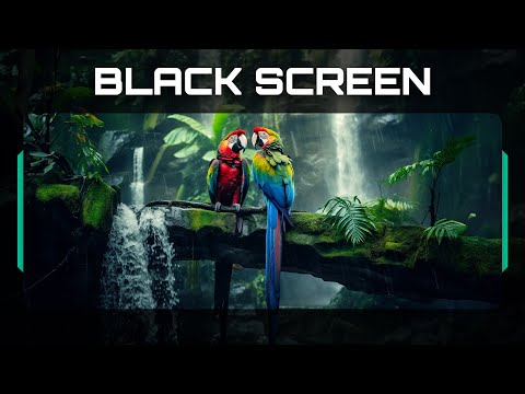 Nature Sounds Black Screen: Amazon Rainforest Waterfall Sounds and Birdsong | Dark Screen 10 Hours
