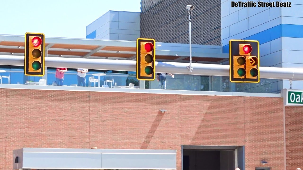 Dog House Traffic Light & Advance Flashing Yellow Arrow Signal ...