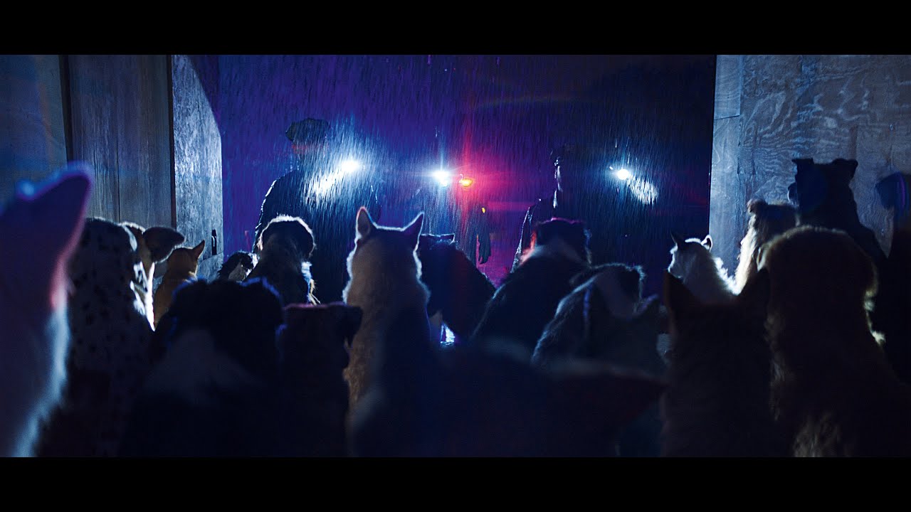 DOGMAN | Trailer 2024 - YouTube