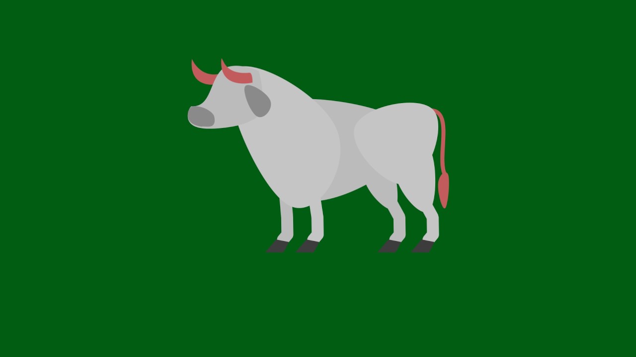 Animated Bull Green Screen Adobe After Effects - YouTube