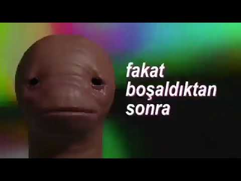 31 çekme sanatı