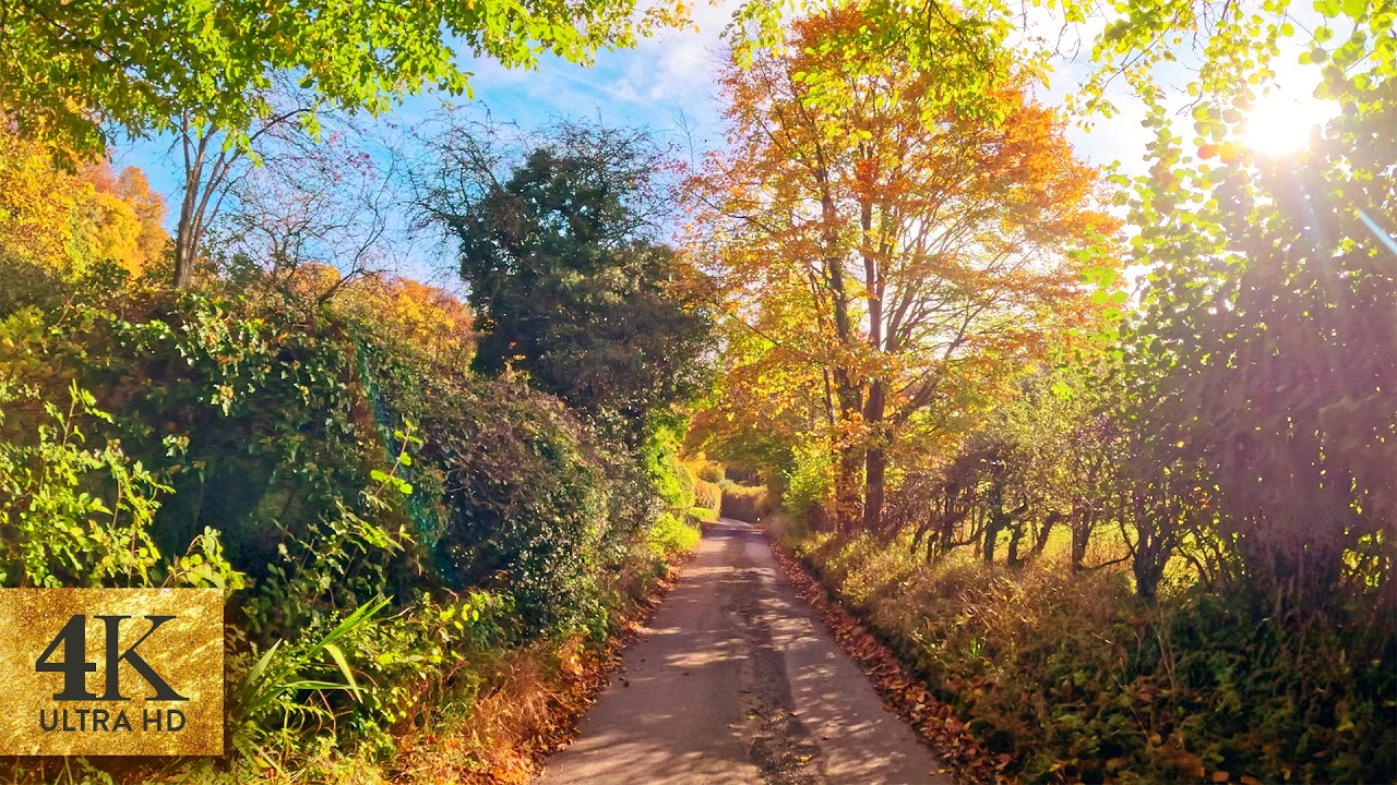RELAXING AUTUMN DRIVE in the English Countryside 4K: relaxing music for ...