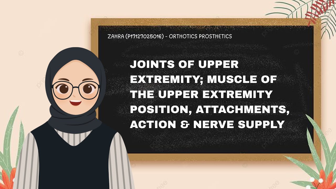 JOINTS OF UPPER EXTREMITY; MUSCLE OF THE UPPER EXTREMITY POSITION ...